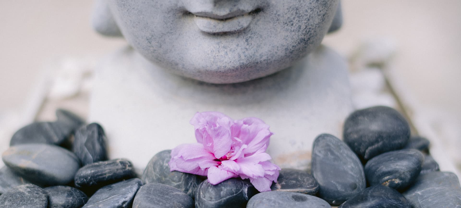 spa-54 | Project STAND